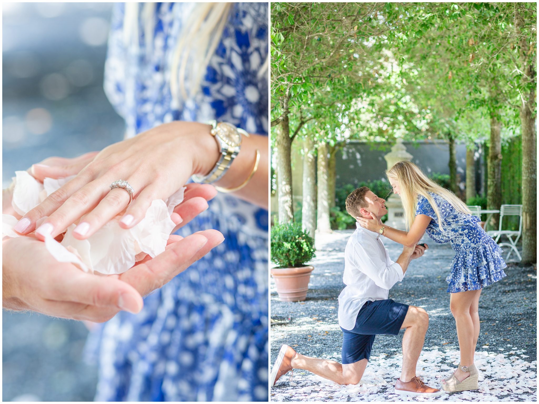 12 Best Charleston Proposal Location Ideas - jenkeys.com
