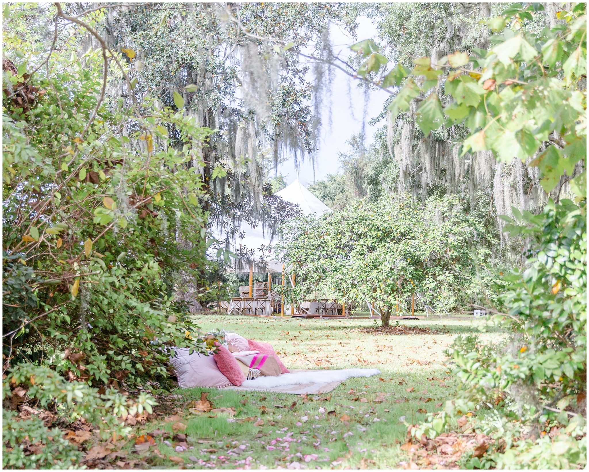 Charleston Proposal at Magnolia Plantation - jenkeys.com