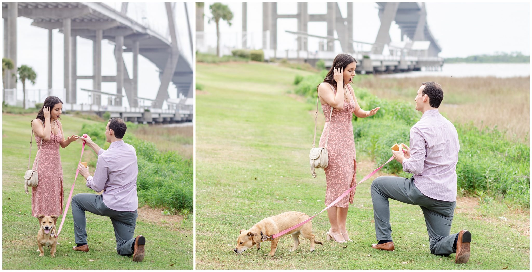 12 Best Charleston Proposal Location Ideas - jenkeys.com
